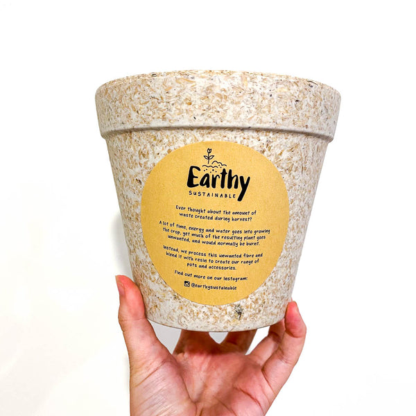 Earthy Sustainable Pots - Modern Handmade Indoor Plant Pot - Twig Plants