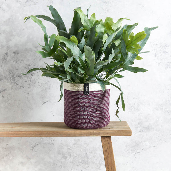 Aubergine - Modern Handmade Indoor Plant Pot - Twig Plants