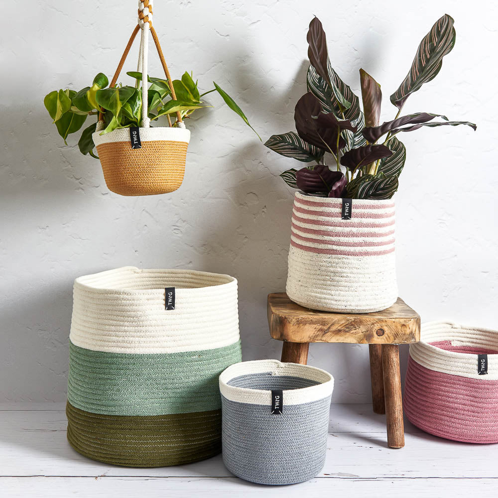 Custom Made Pot - Modern Handmade Indoor Plant Pot - Twig Plants